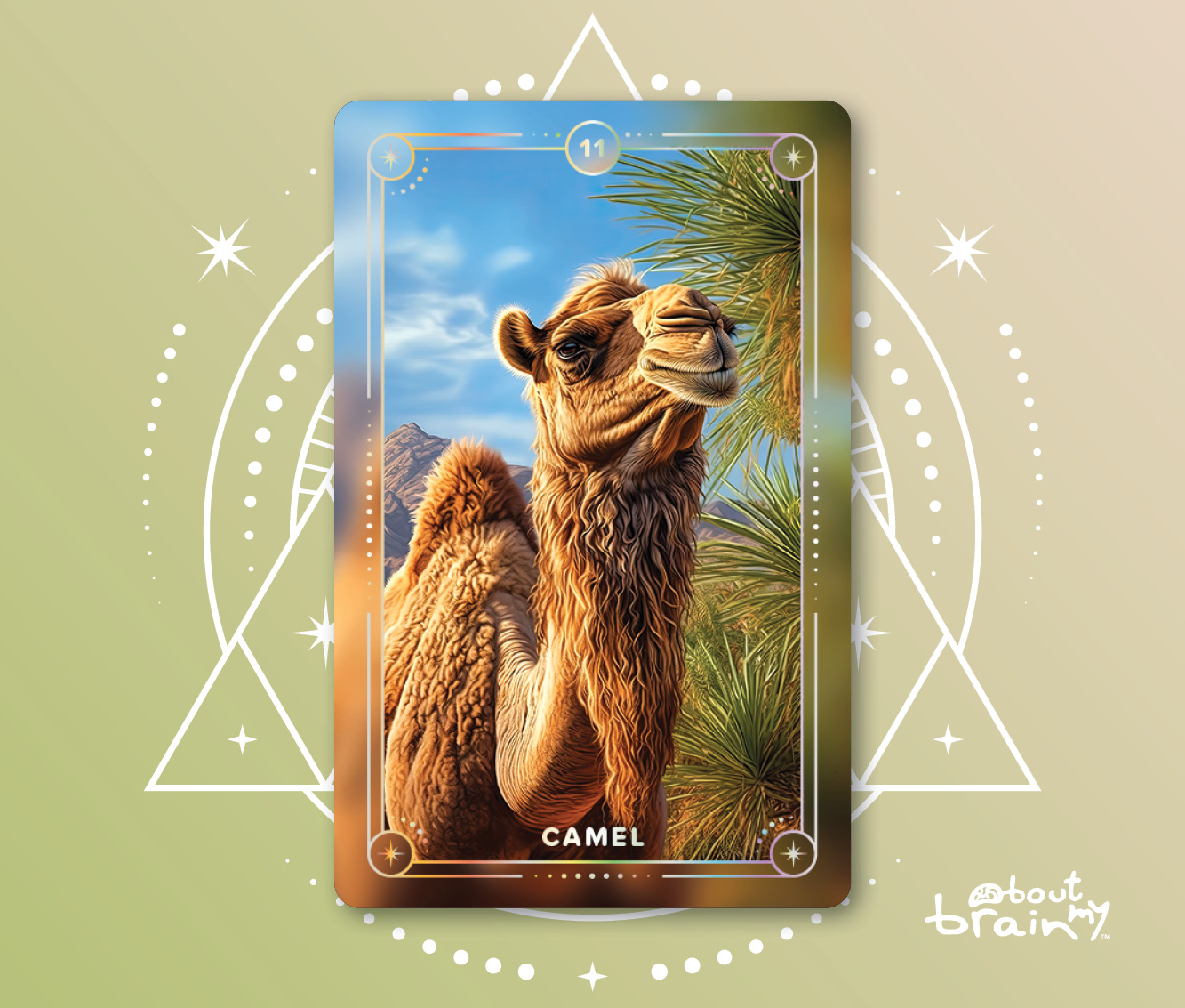 Camel | Meaning & Significance | Spirit Animals Oracle Deck