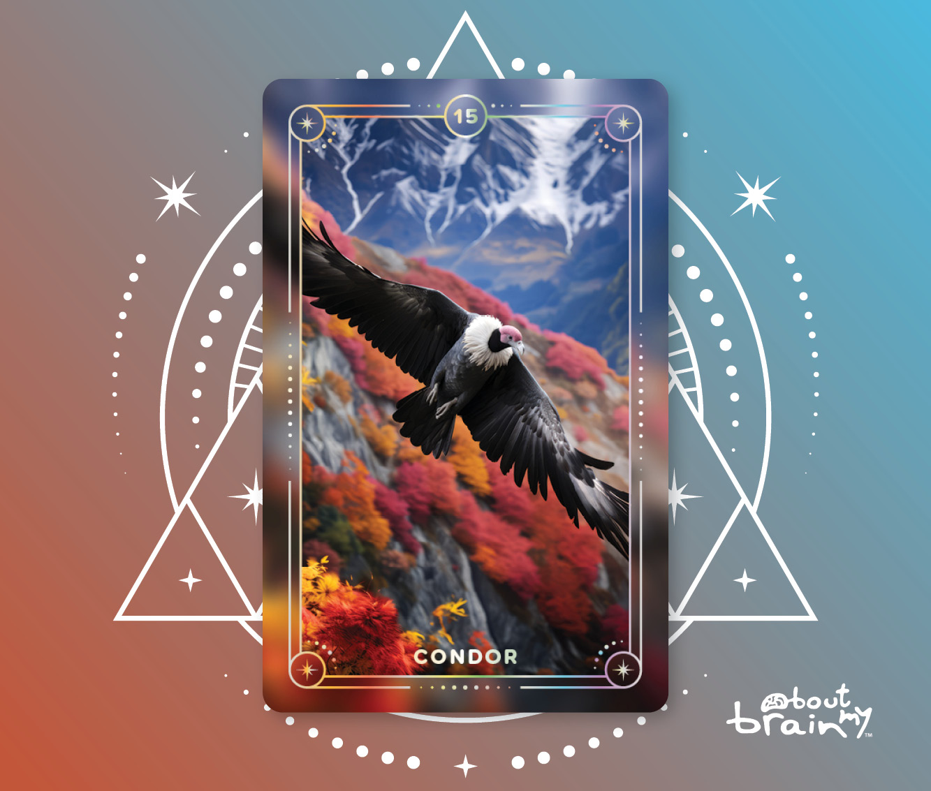 Condor | Meaning & Significance | Spirit Animals Oracle Deck