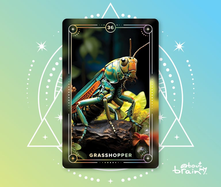 Grasshopper | Meaning & Significance | Spirit Animals Oracle Deck