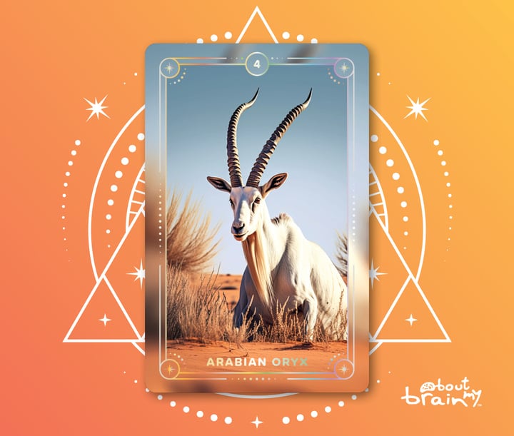 Arabian Oryx | Meaning & Significance | Spirit Animals Oracle Deck