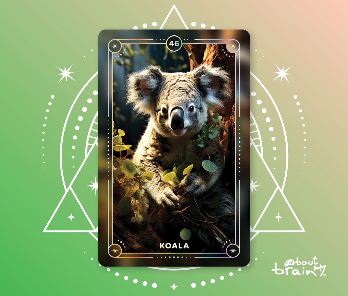 Koala | Meaning & Significance | Spirit Animals Oracle Deck