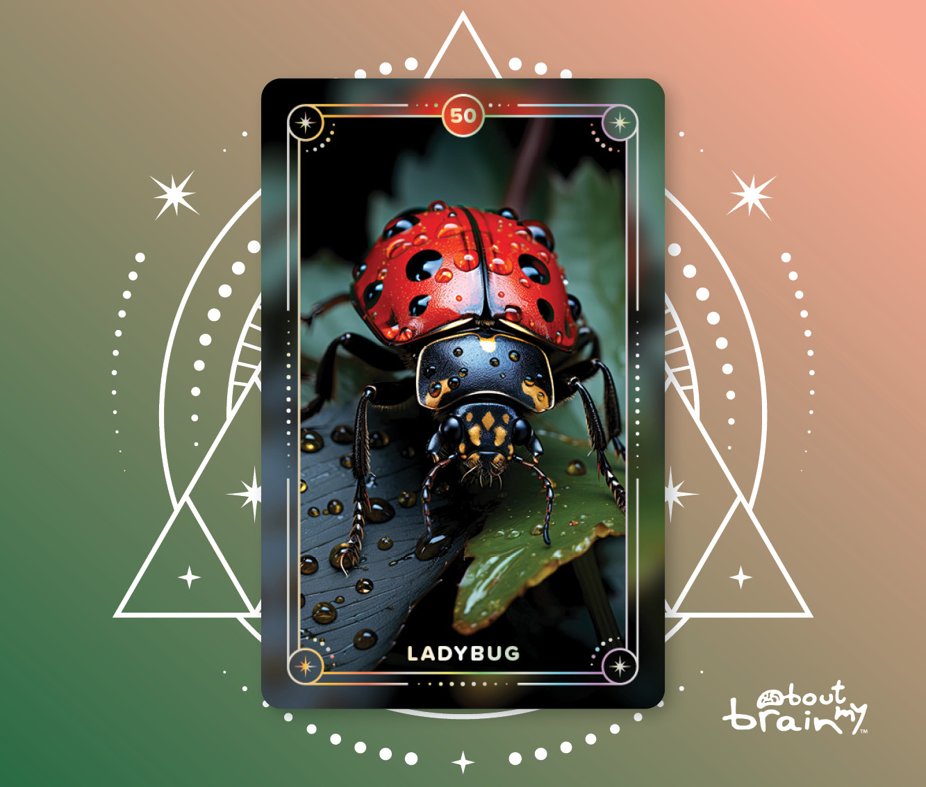 Ladybug | Meaning & Significance | Spirit Animals Oracle Deck
