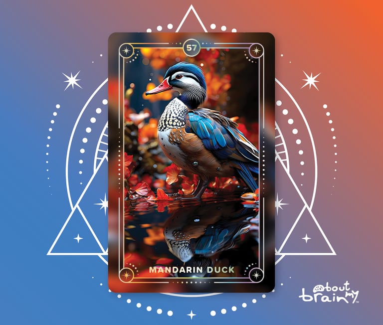 Mandarin Duck | Meaning & Significance | Spirit Animals Oracle Deck