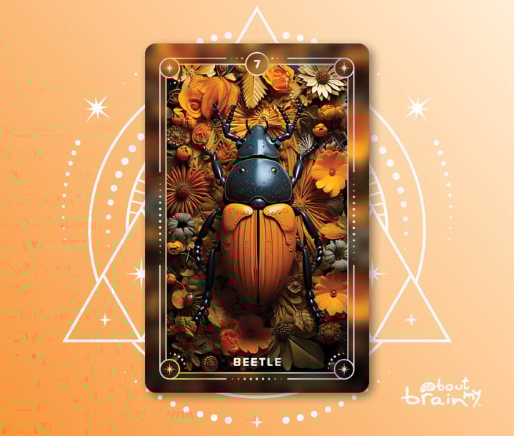 Beetle | Meaning & Significance | Spirit Animals Oracle Deck