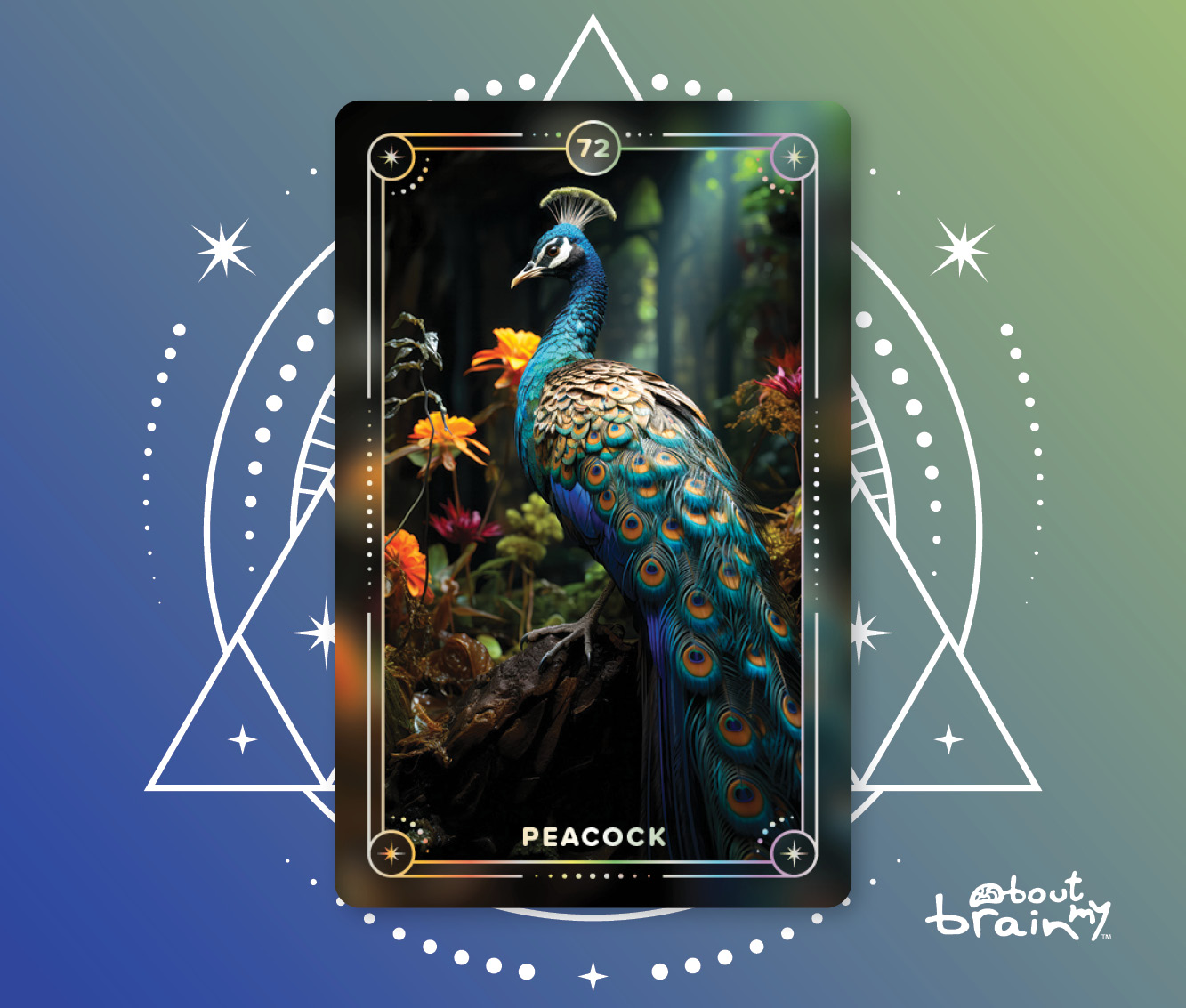 Peacock | Meaning & Significance | Spirit Animals Oracle Deck