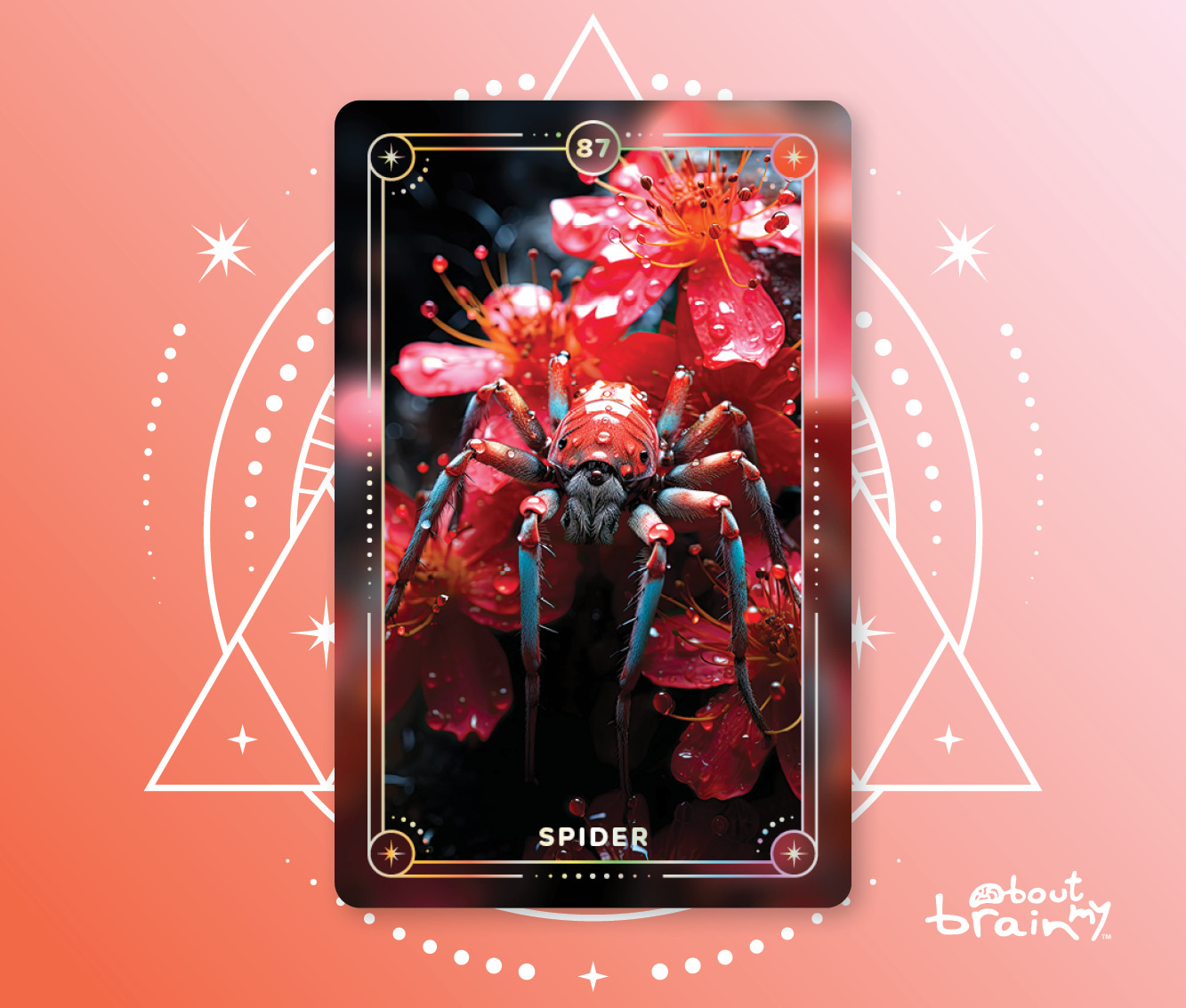 Spider | Meaning & Significance | Spirit Animals Oracle Deck