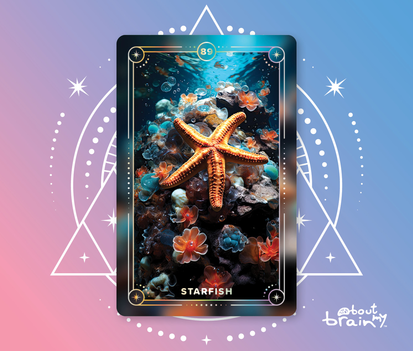 Starfish | Meaning & Significance | Spirit Animals Oracle Deck